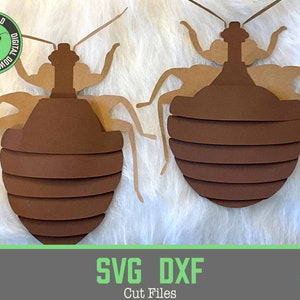 Svg Bug Bundle Male Female Bed Bug Model Svg 3d Insect Cut File Bed Bug ...