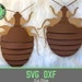 Svg Bug Bundle Male Female Bed Bug Model Svg 3d Insect Cut File Bed Bug ...