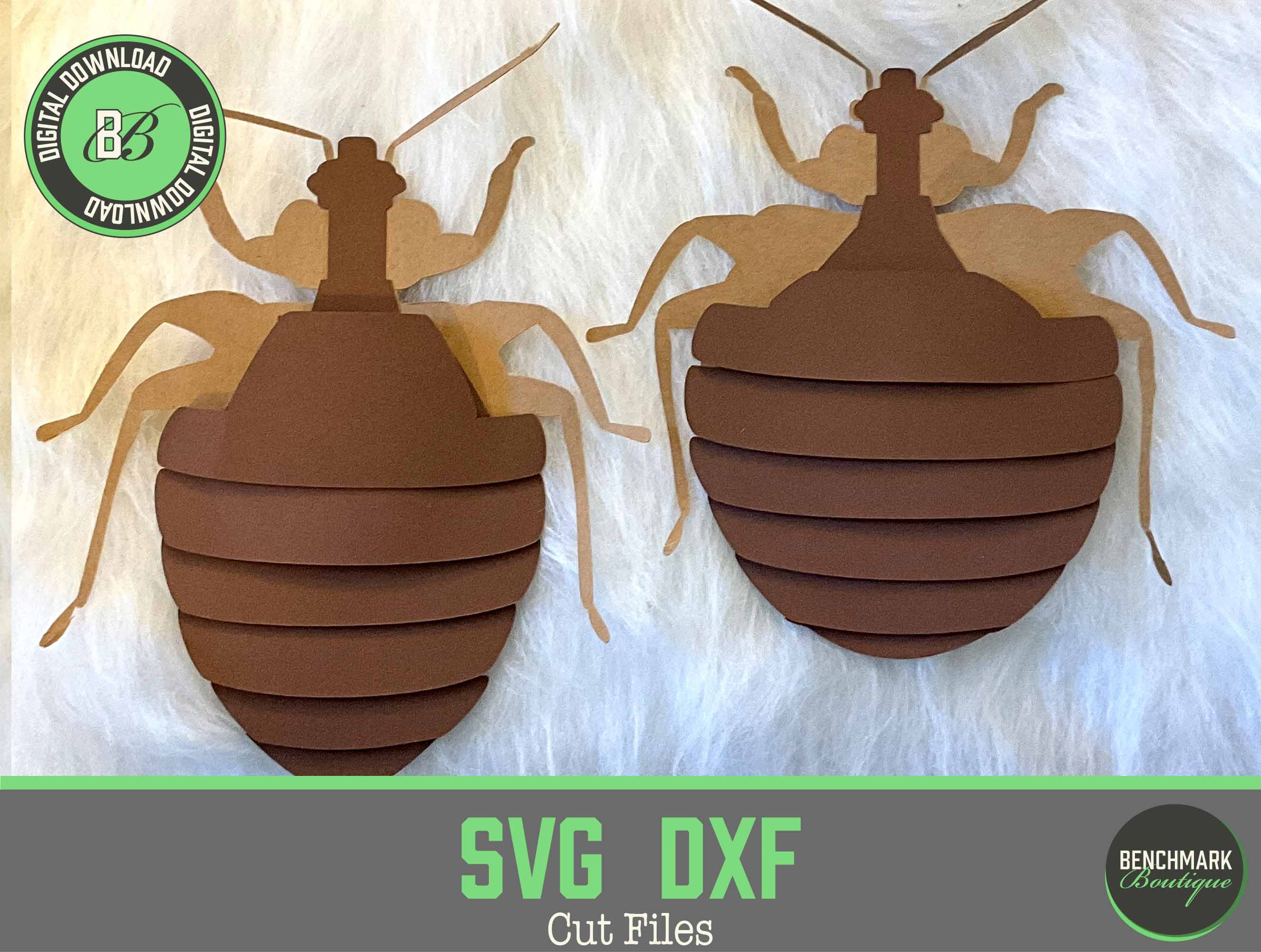 Svg Bug Bundle Male Female Bed Bug Model Svg 3d Insect Cut File Bed Bug ...