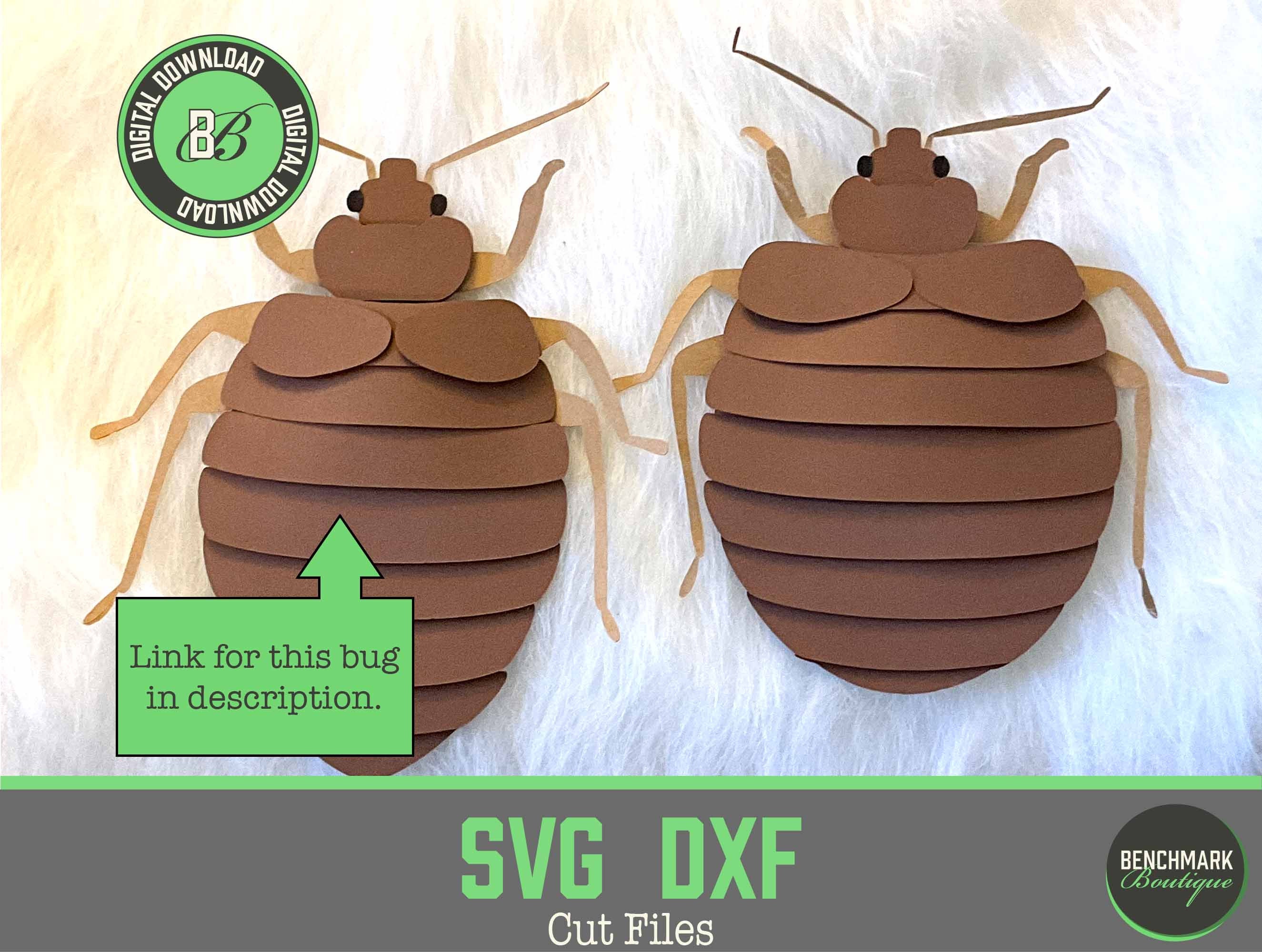 3D Bug Svg Bed Bug Model Paper Craft Cut File Insect Female Bed Bug Svg ...