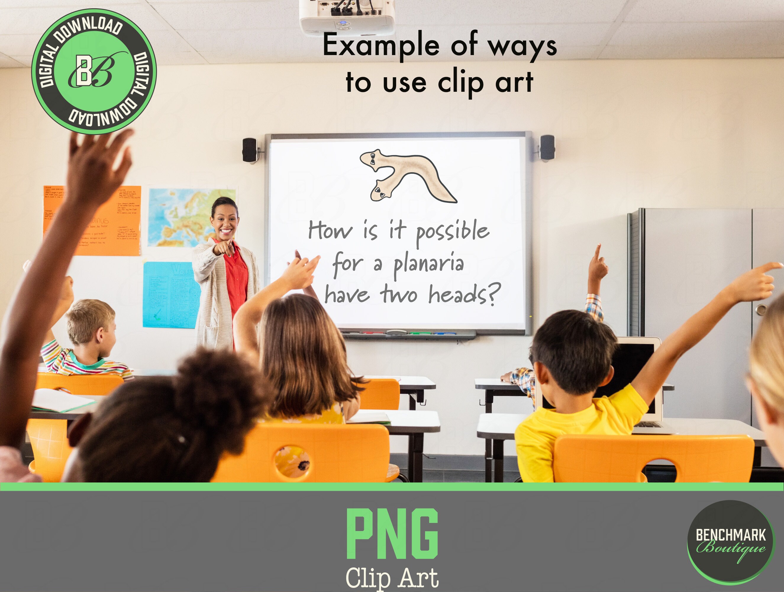 Planaria Clip Art Png Cute Worm Clip Art Illustrations Biology Clip Art ...