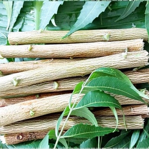 Organic Neem Chew Sticks, Natural Oral Care, Home Grown - Etsy