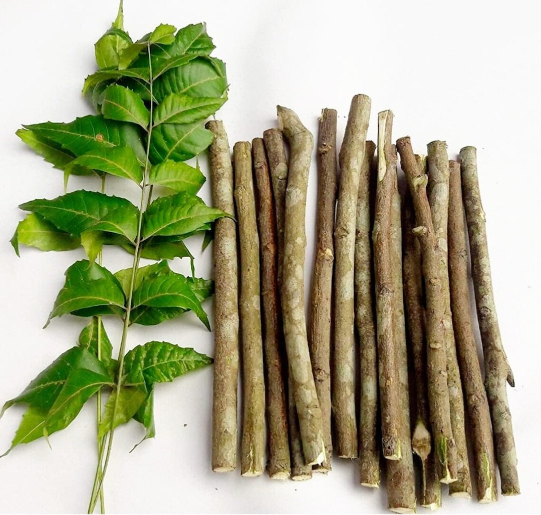 Organic Neem Chew Sticks, Natural Oral Care, Home Grown - Etsy