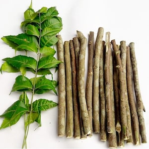Organic Pure Natural Neem Sticks Azadirachta Indica Sticks DATUN for ...
