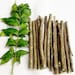 Organic Neem Chew Sticks, Natural Oral Care, Home Grown - Etsy