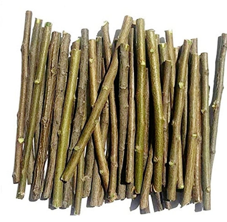 Organic Pure Natural Neem Sticks Azadirachta Indica Sticks DATUN for ...