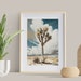 Joshua Tree Yucca in the Desert With Dramatic Clouds Digital Poster ...