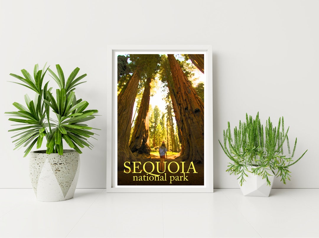 Sequoia National Park Poster - Etsy