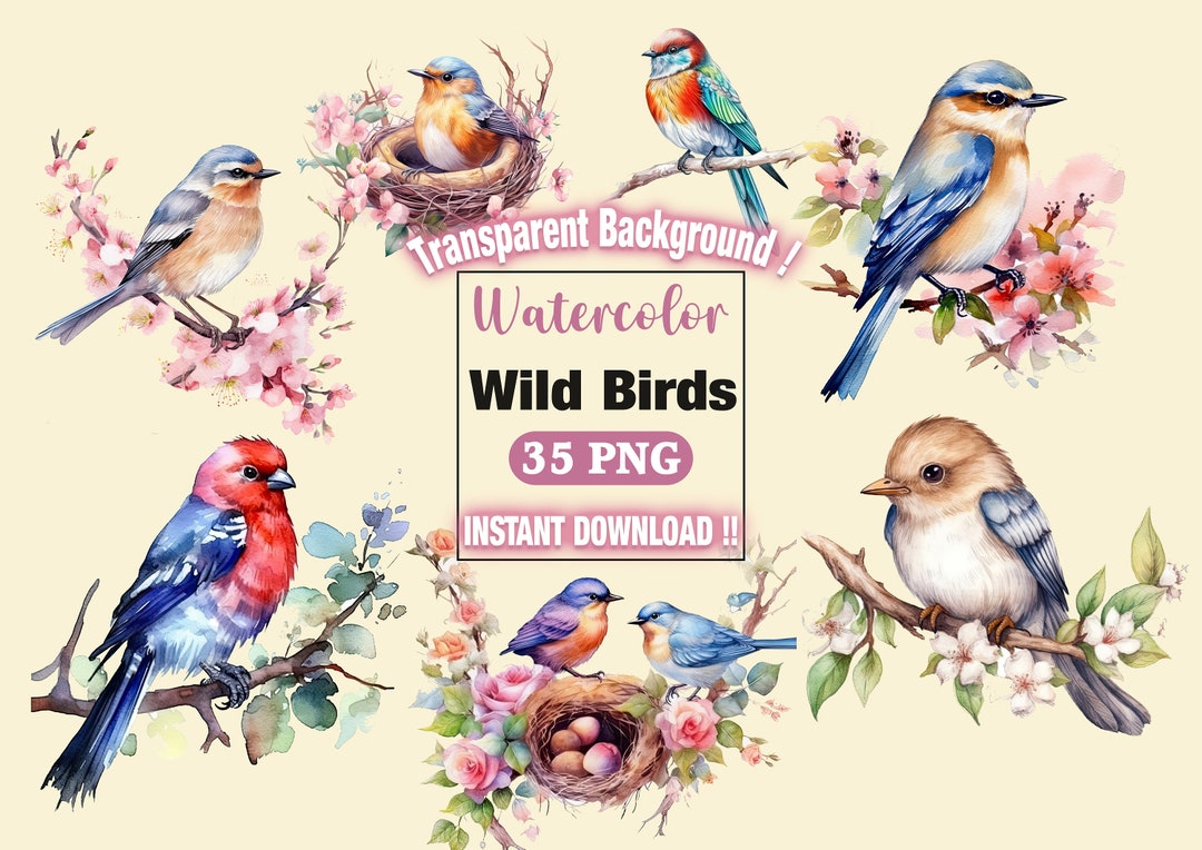 Watercolor Birds Clipart Bundle, Spring Birds Clipart, Birds Bundle ...