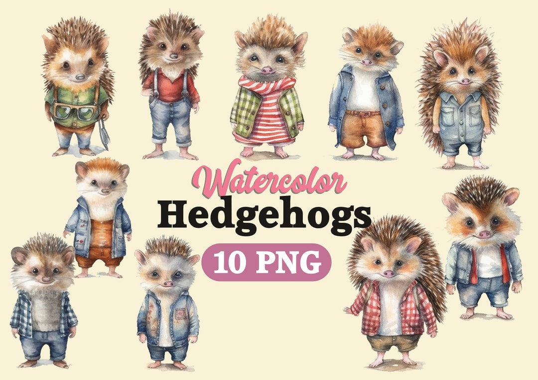 Hedgehog Png, Watercolor Hedgehog, Hedgehog Clipart, Hedgehog ...