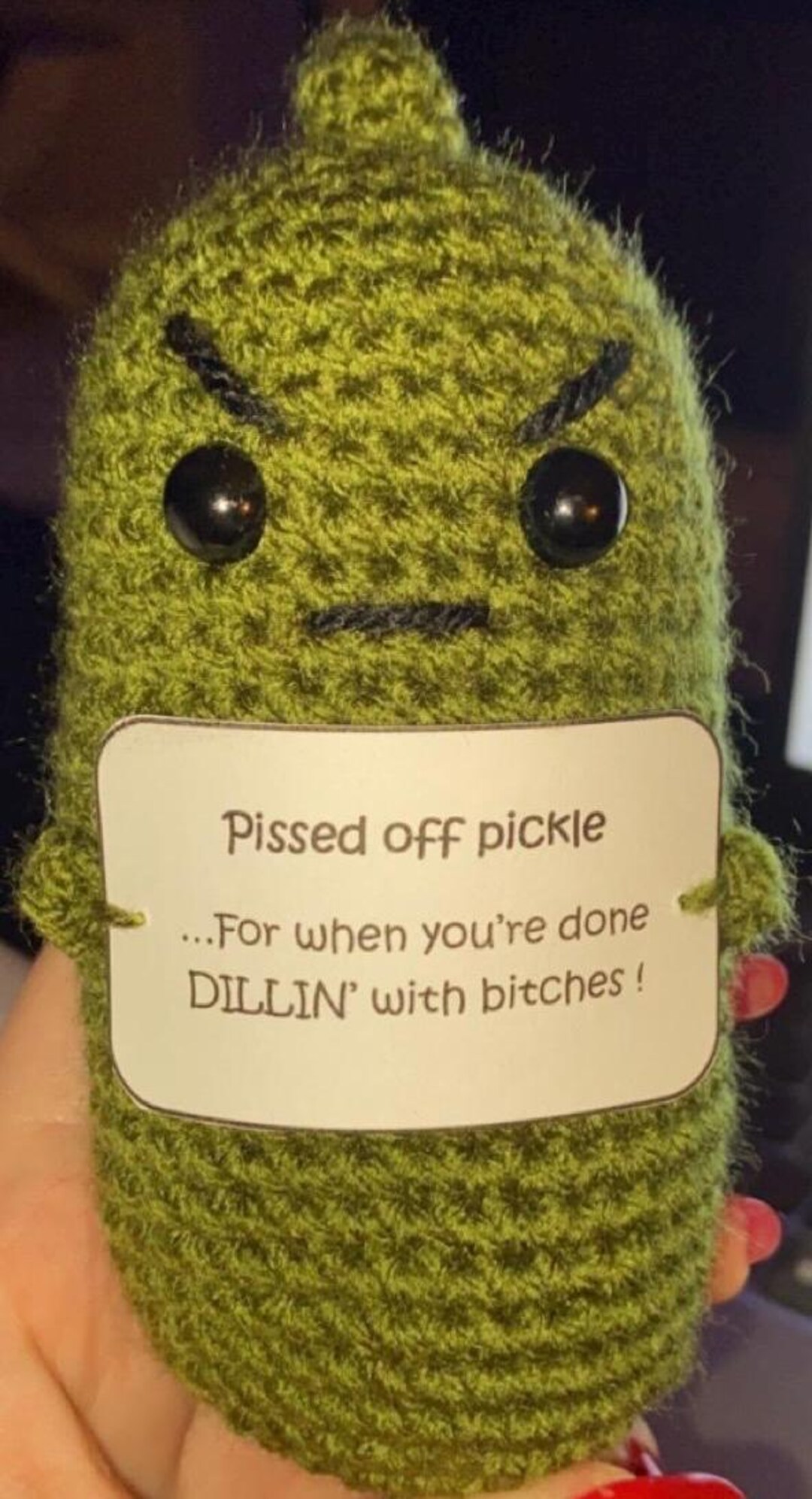 P*ssed off Pickle Amigurumi - Etsy