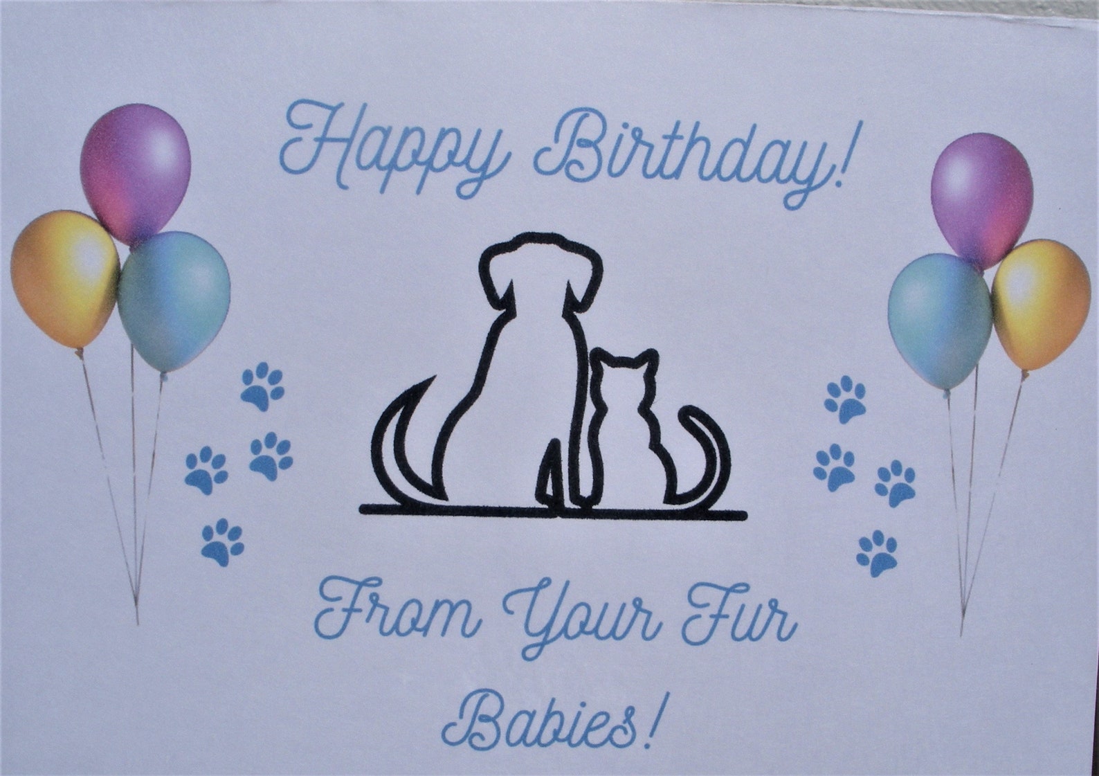 Funny Birthday Card From Cat and Dog to Owner Pet Birthday - Etsy