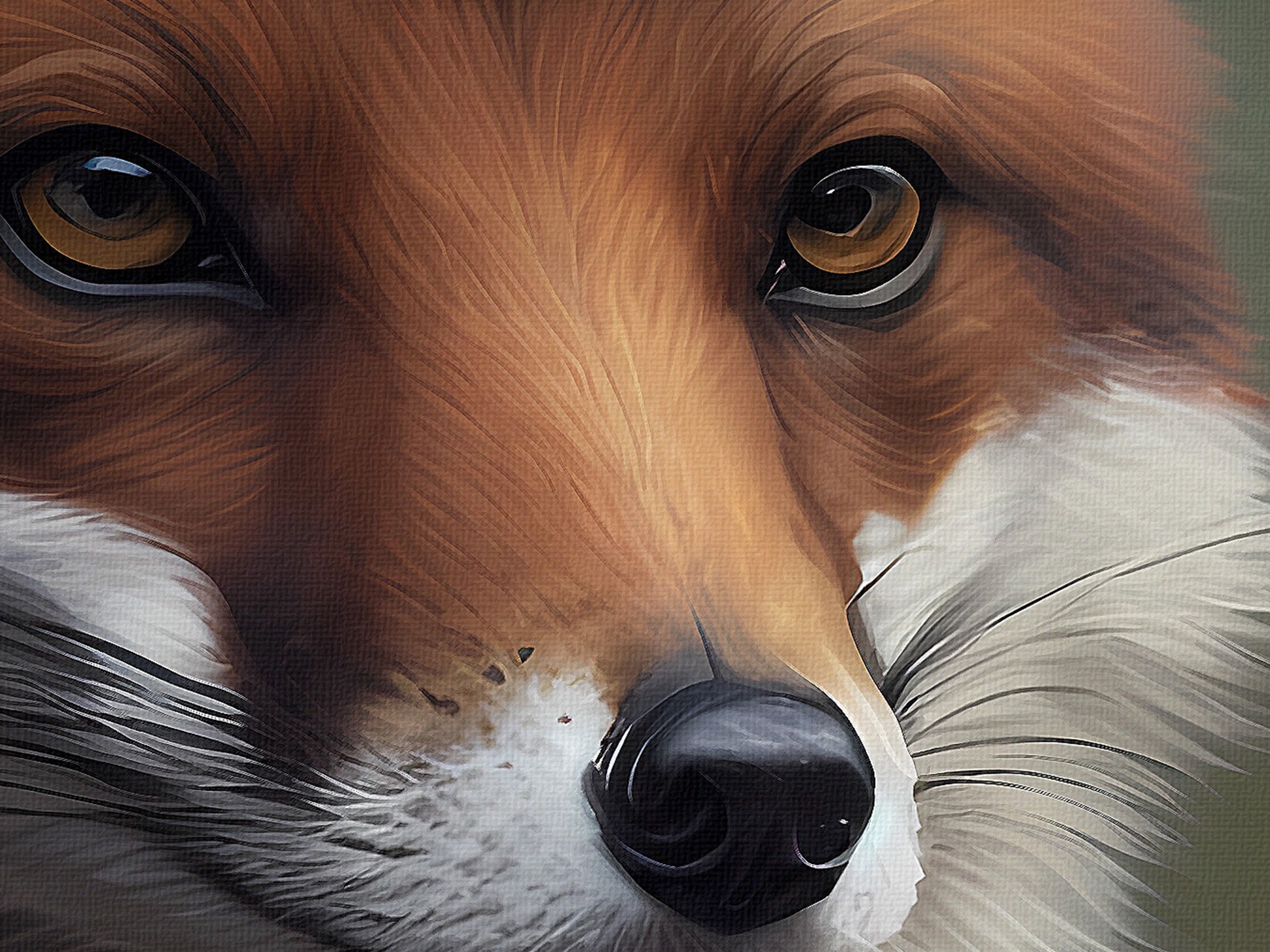 Vintage Gentleman Fox Print, Foxes in Suits, Classical Wildlife Wall ...