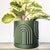 Dark Green Olive Pot, Ripple Planter With Drainage, Made From an Eco ...