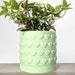 Light Pastel Green Pot, Heart Pattern Planter With Drainage, Made From ...
