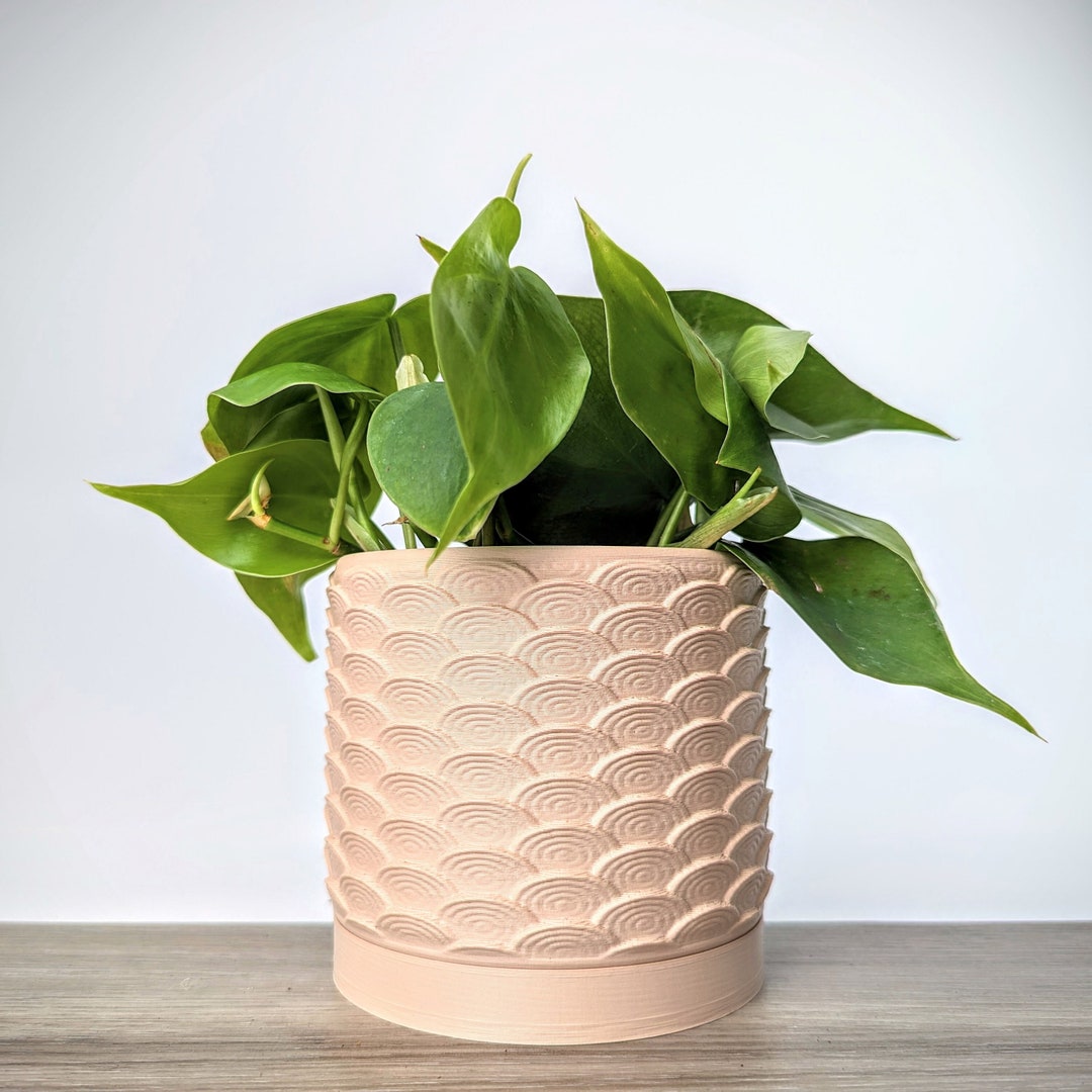 Tan Beige Pot, Clouds Pattern Planter With Drainage Tray, Made From an ...