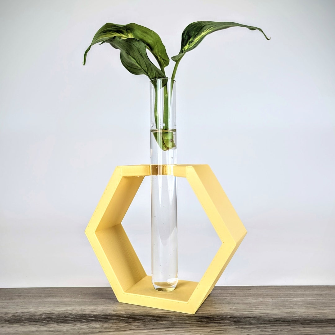 Hexagon Propagation Station in Light Pastel Yellow, Honeycomb Test Tube ...