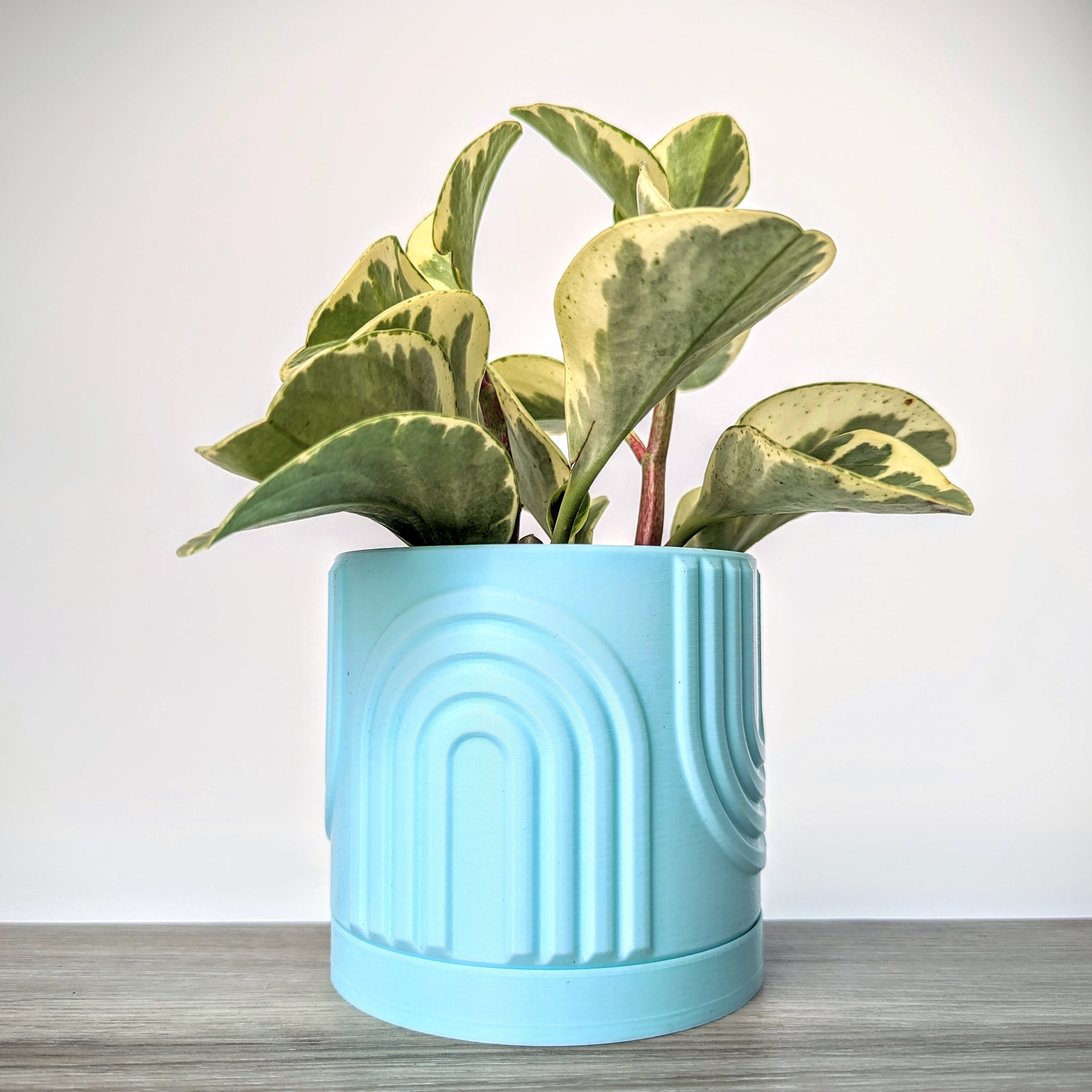 Light Blue Mint Pot Rainbow Planter With Drainage - Etsy
