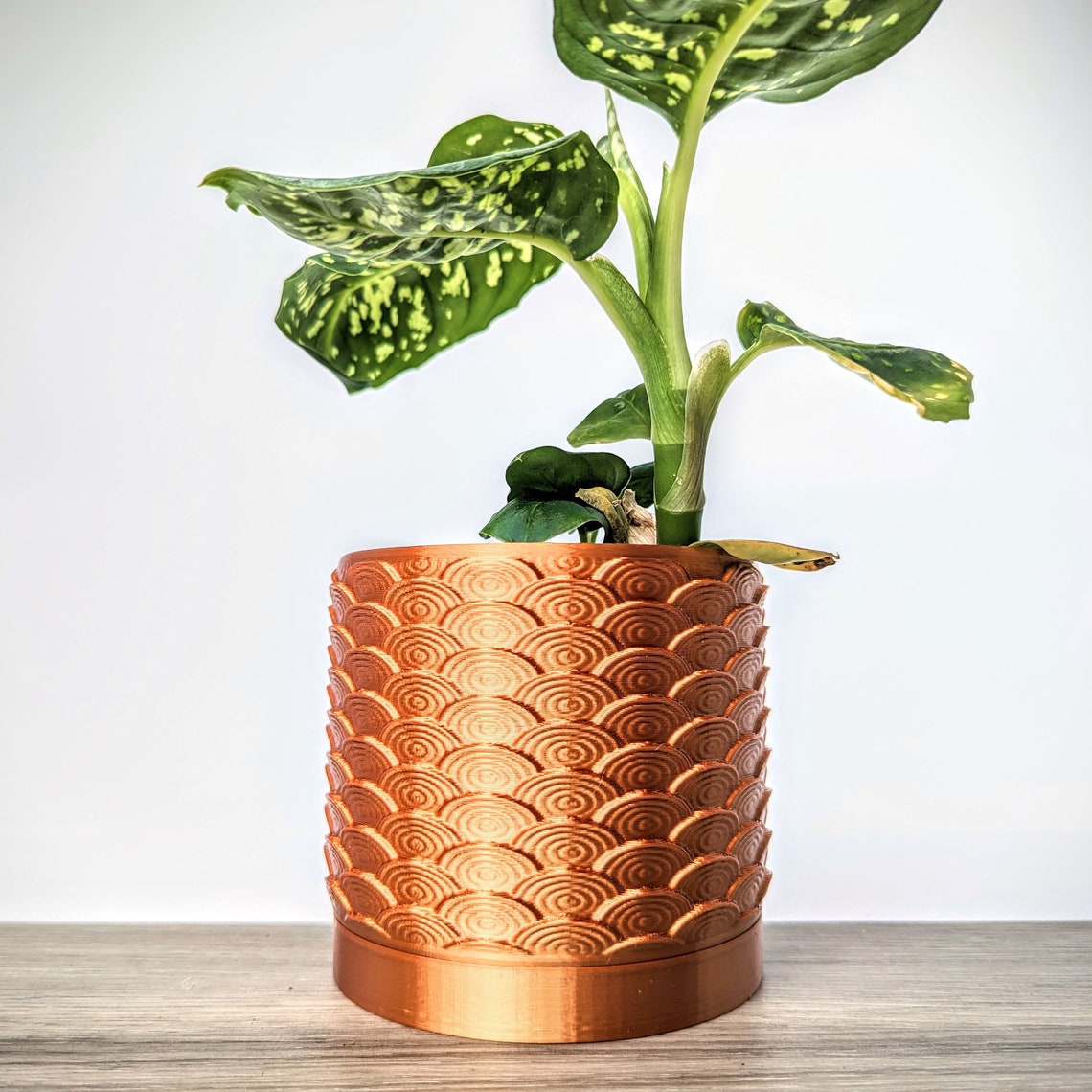 Copper Pot Clouds Pattern Planter With Drainage Tray - Etsy