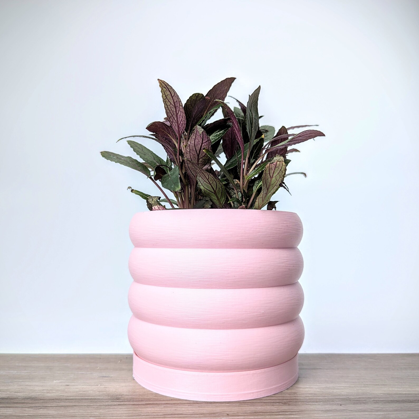 Light Pastel Pink Planter, Bubble Plant Pot With Drain Tray, Apartment ...