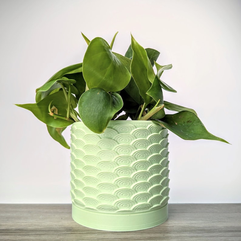 Light Pastel Green Pot, Clouds Pattern Planter With Drainage Tray, Made ...