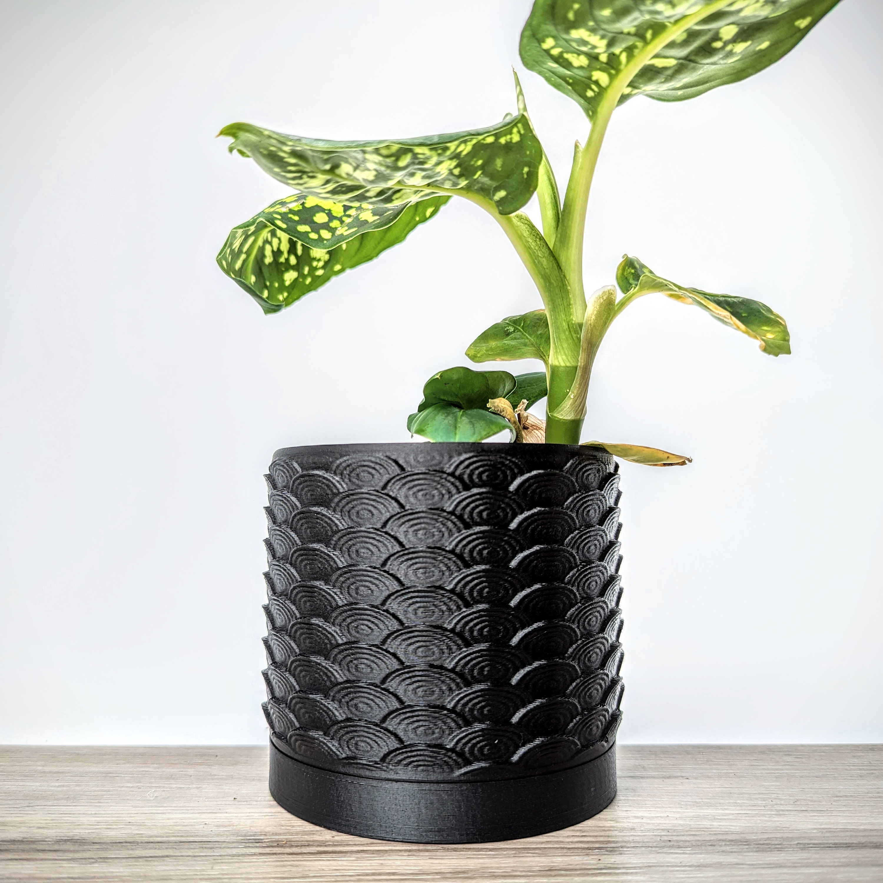 Matte Black Pot Clouds Pattern Planter With Drainage Tray - Etsy