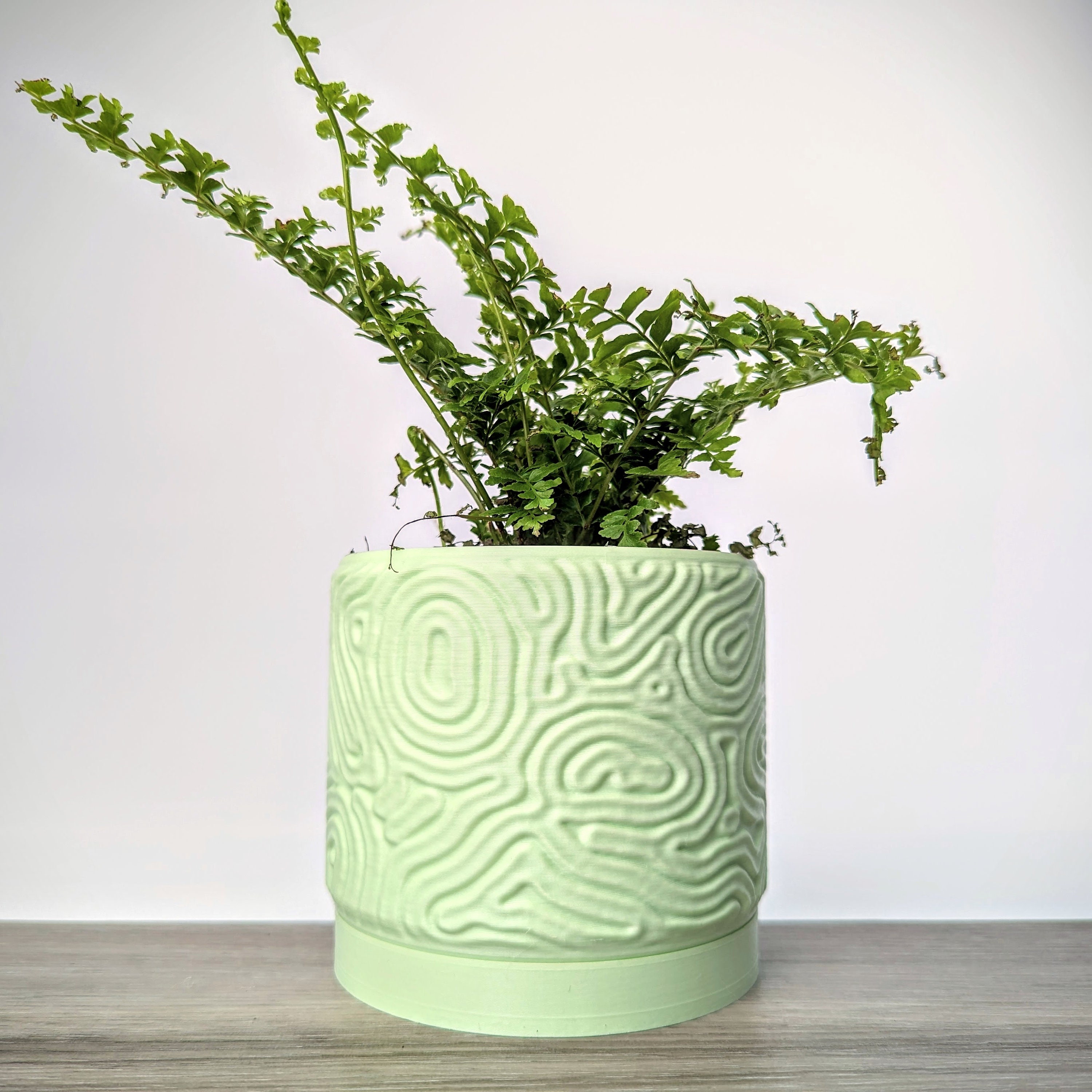 Light Pastel Green Pot Coral Maze Planter With Drainage Tray - Etsy