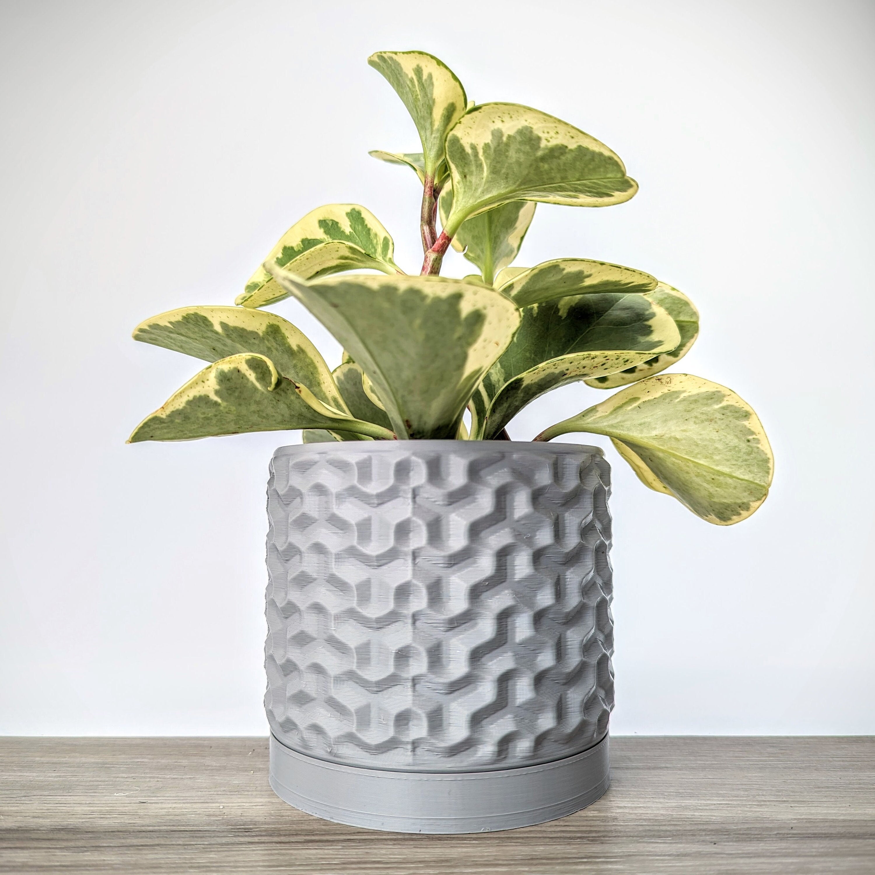 Light Gray Planter, Geometric Plant Pot With Drain Tray, Apartment Home ...
