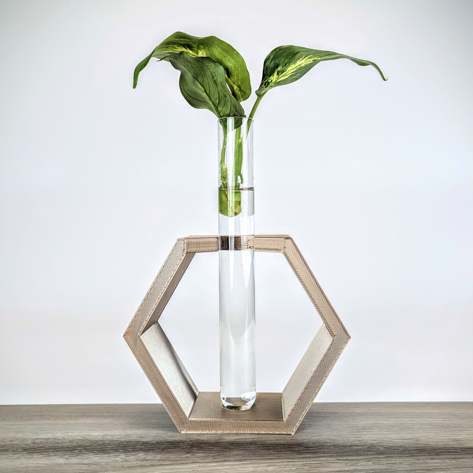 Hexagon Propagation Station in Bronze Chocolate Gold, Honeycomb Test ...