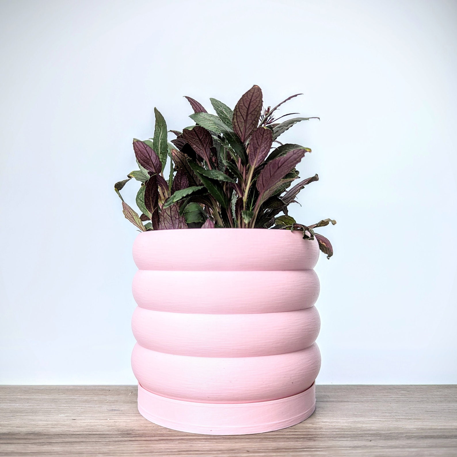 Light Pastel Pink Planter, Bubble Plant Pot With Drain Tray, Apartment ...