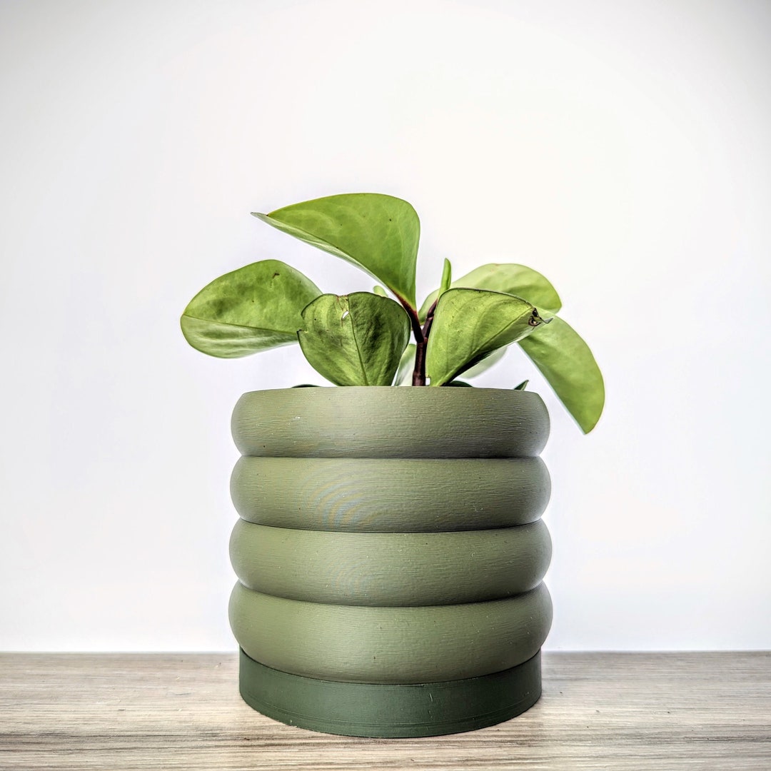 Dark Green Olive Planter, Bubble Plant Pot With Drainage, Apartment ...