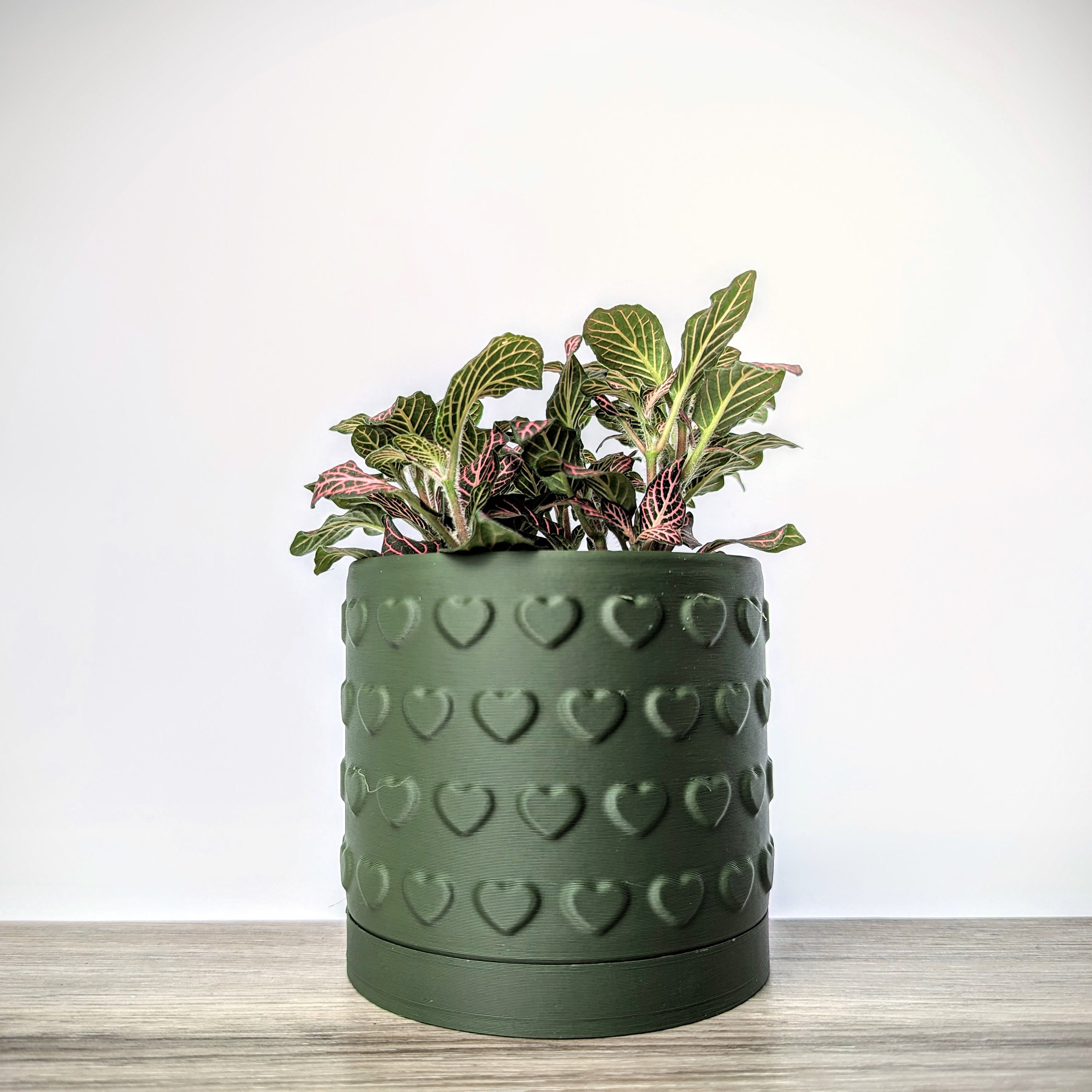 Dark Green Olive Pot Heart Patterned Planter With Drainage - Etsy