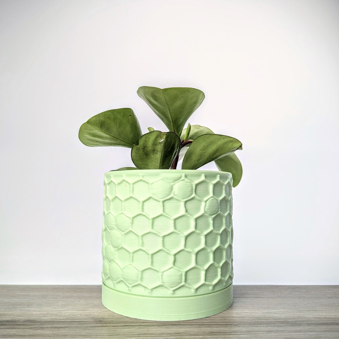 Light Pastel Green Pot, Honeycomb Planter With Drainage Tray, Made From ...