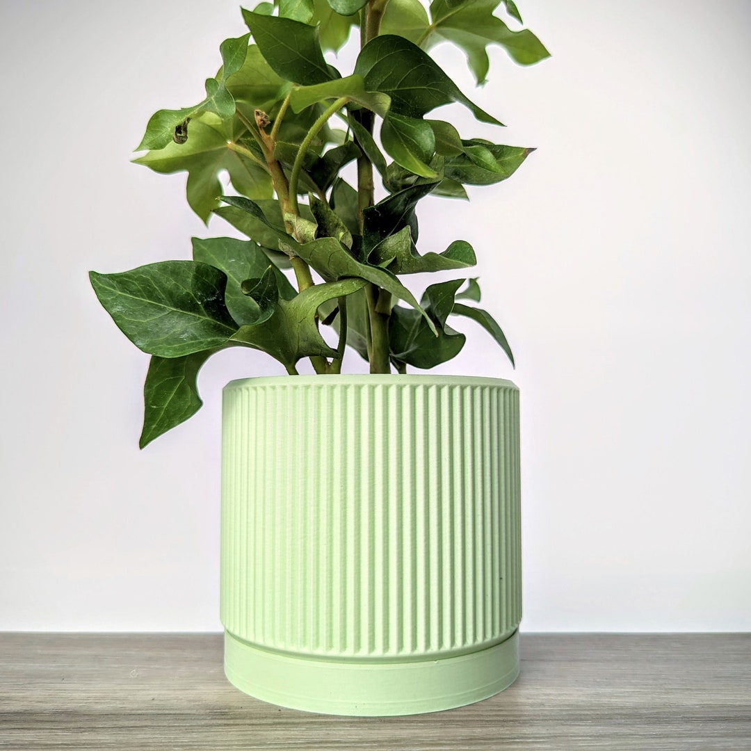 Light Pastel Green Plant Pot, Fin Planter With Drain Tray, Colorful ...