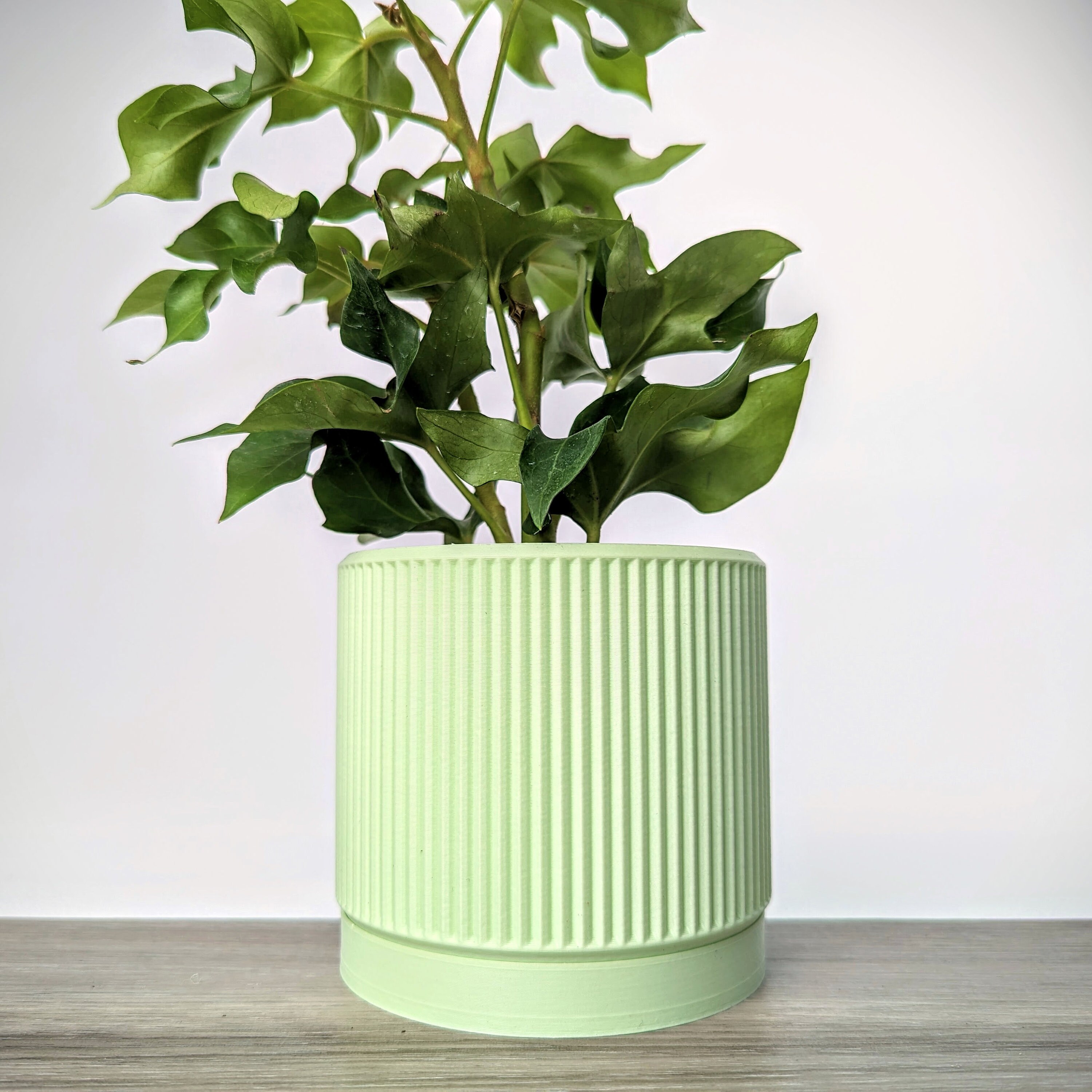 Light Pastel Green Plant Pot, Fin Planter With Drain Tray, Colorful ...