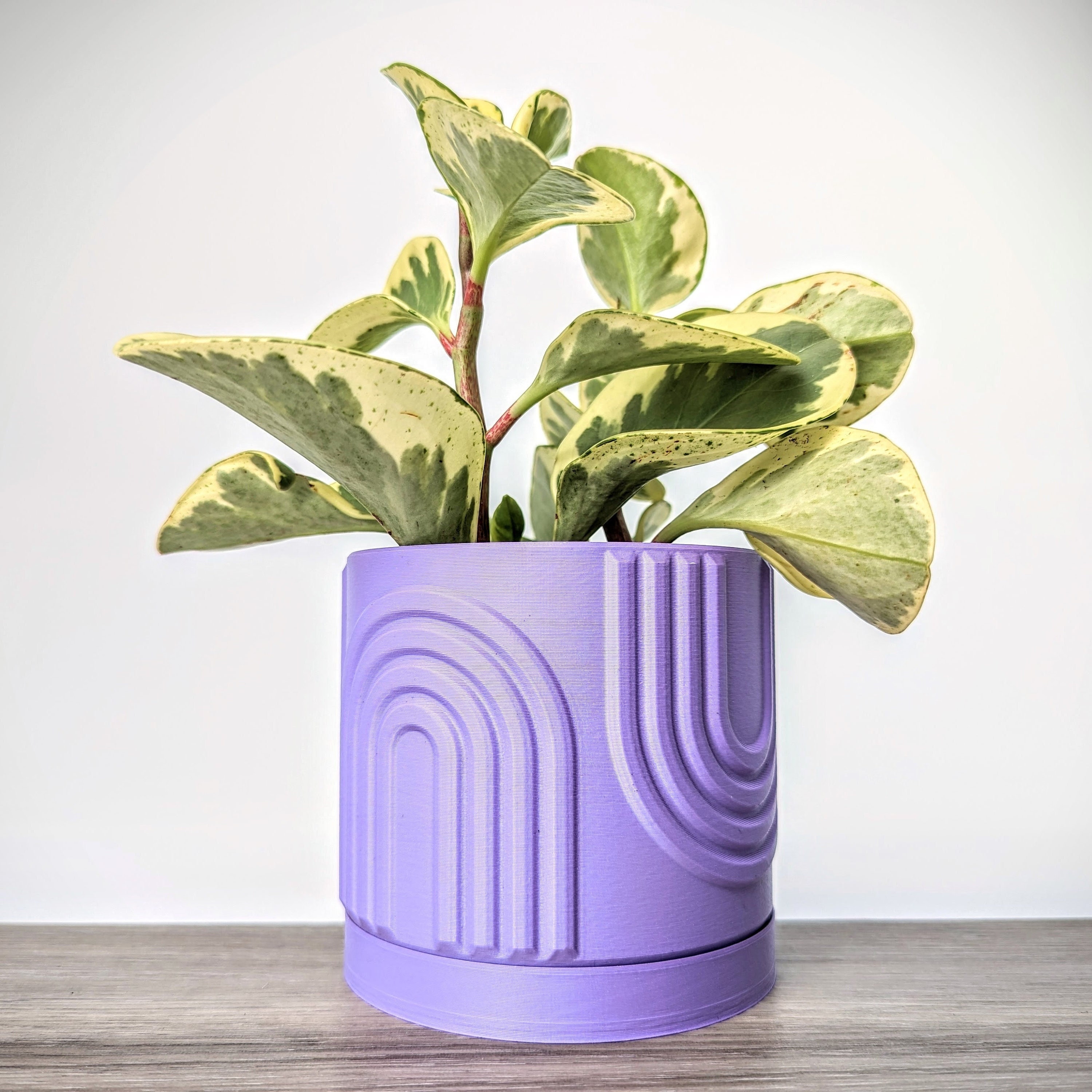 Lavender Purple Planter Rainbow Plant Pot With Drainage Tray - Etsy