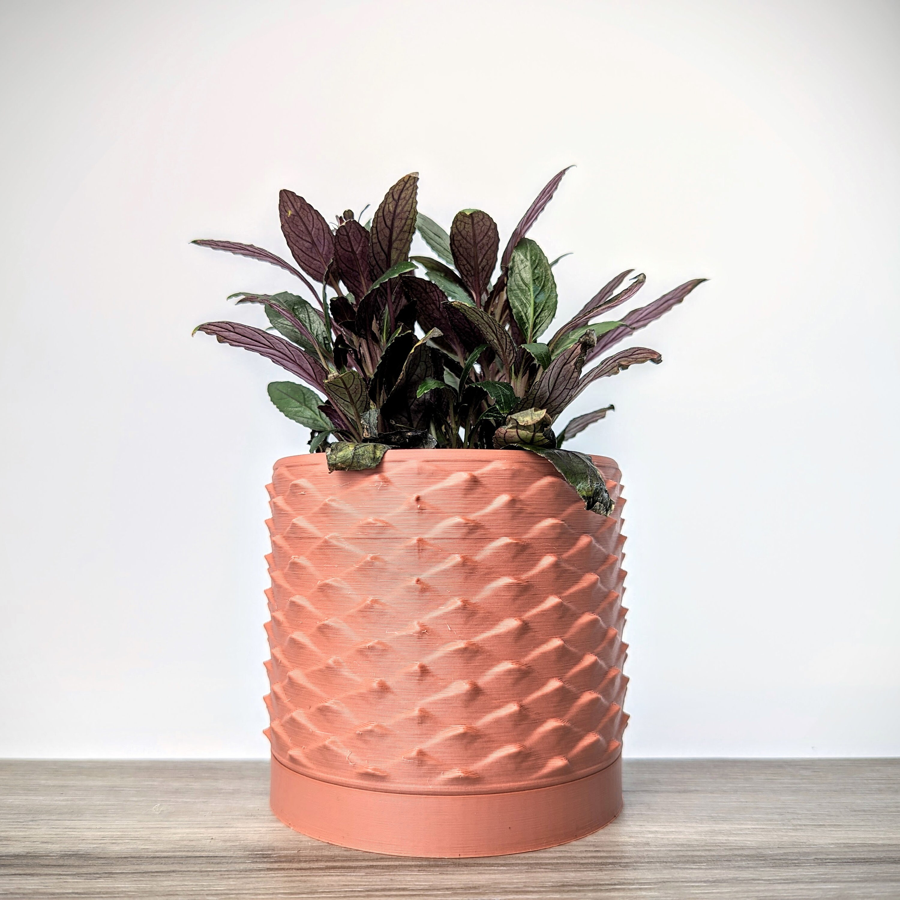 Terracotta Pot, Dragon Scale Planter With Drainage Tray - Etsy