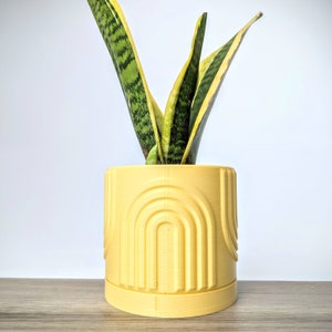 Light Pastel Yellow Pot, Rainbow Planter With Drainage Tray, Apartment ...