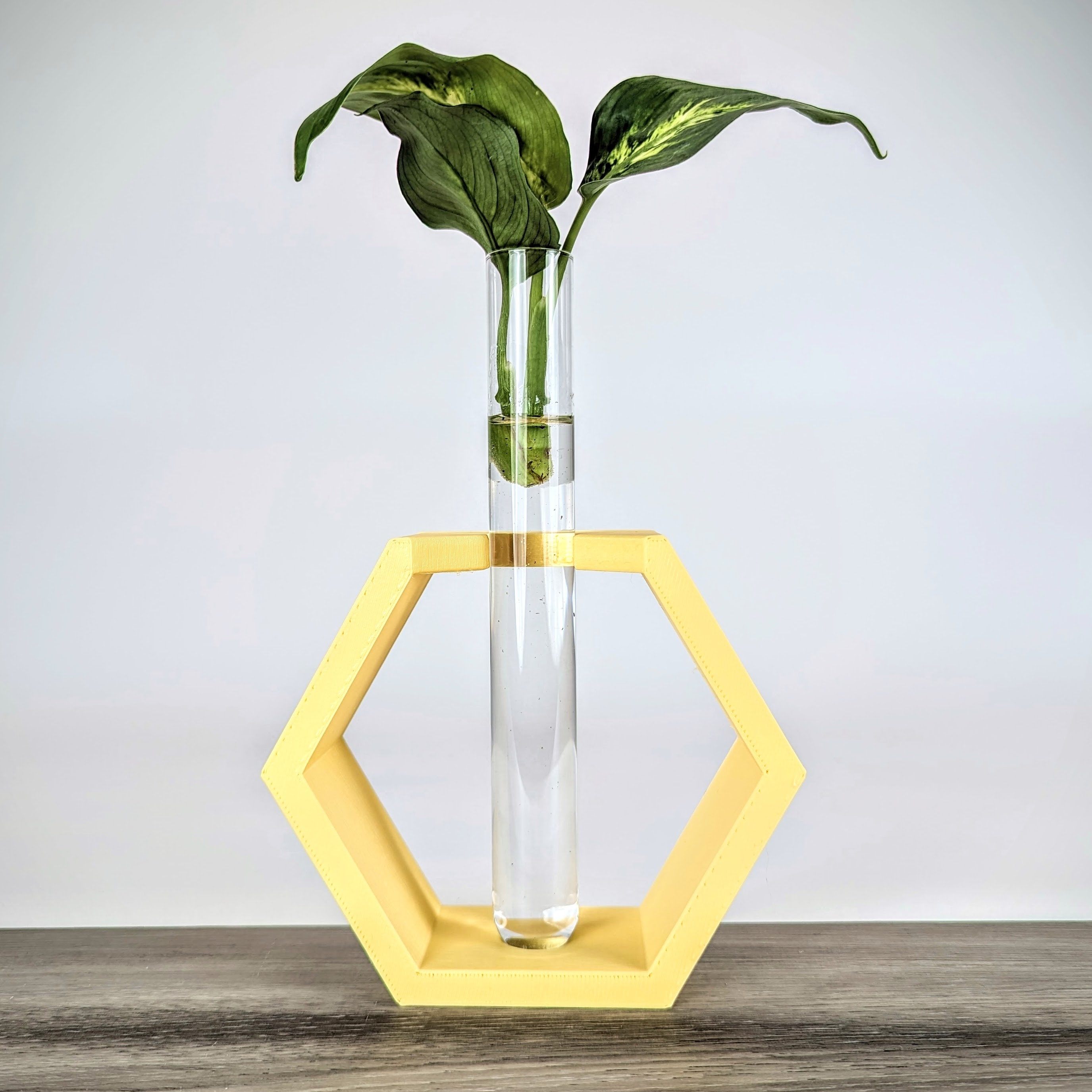 Hexagon Propagation Station in Light Pastel Yellow, Honeycomb Test Tube ...