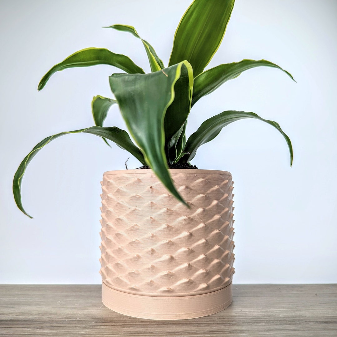 Tan Beige Pot, Dragon Scale Planter With Drainage Tray, Made From an ...