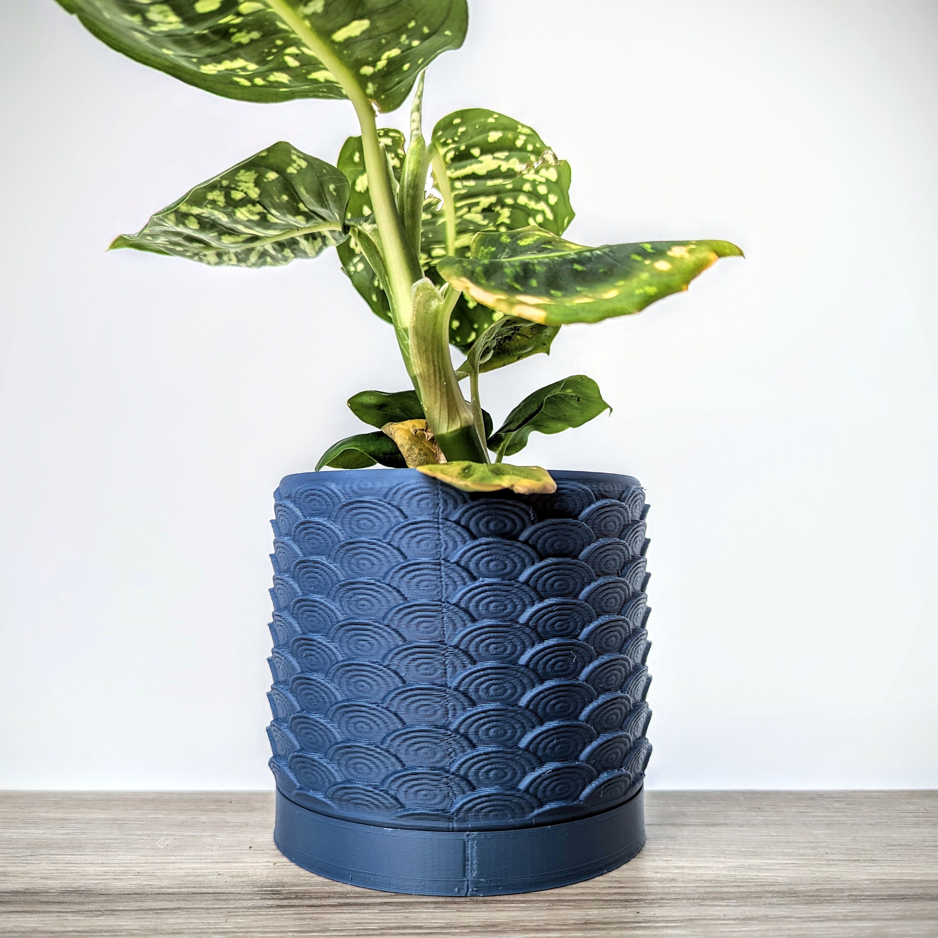 Dark Blue Navy Pot Clouds Pattern Planter With Drainage Tray - Etsy