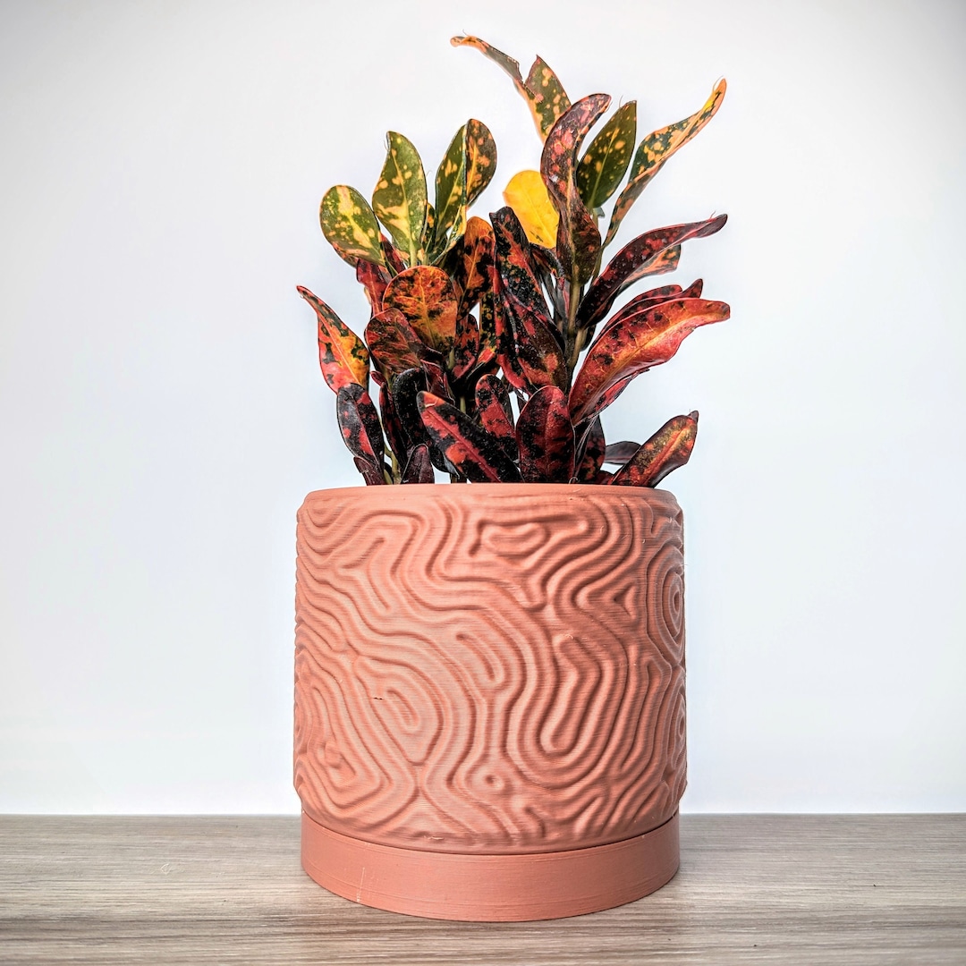 Terracotta Pot, Coral Maze Planter With Drainage Tray, Made From an Eco ...