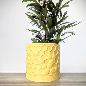 Light Pastel Yellow Pot, Honeycomb Planter With Drainage Tray, Made ...