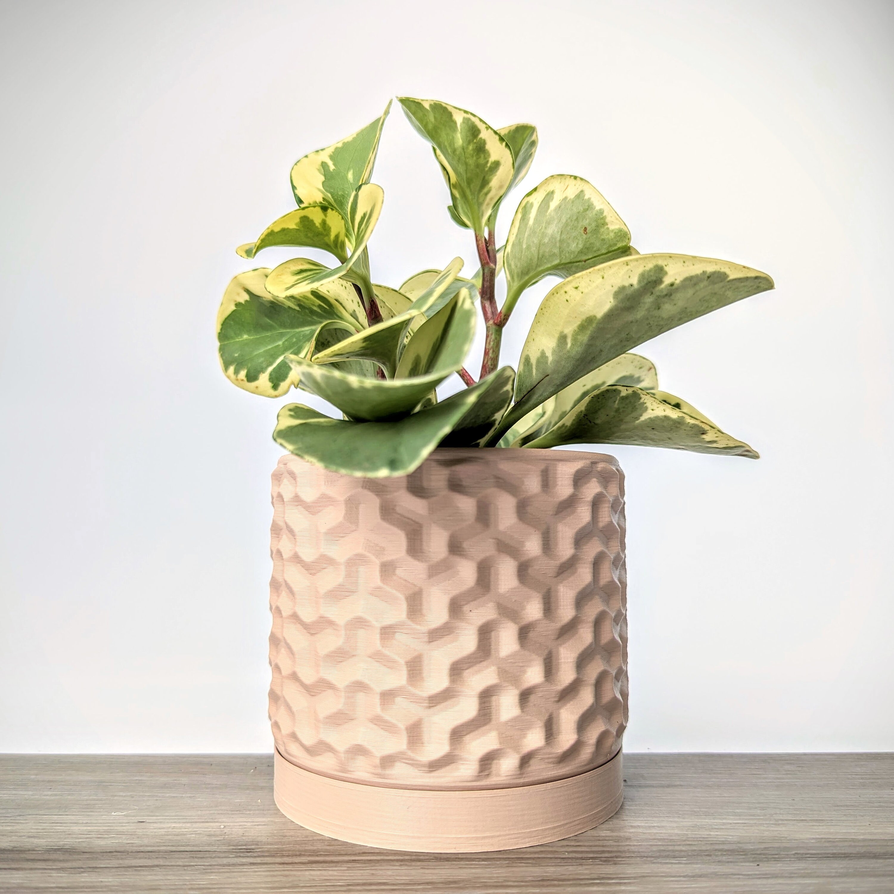 Tan Beige Plant Pot, Geometric Planter With Drain Tray, Minimal ...