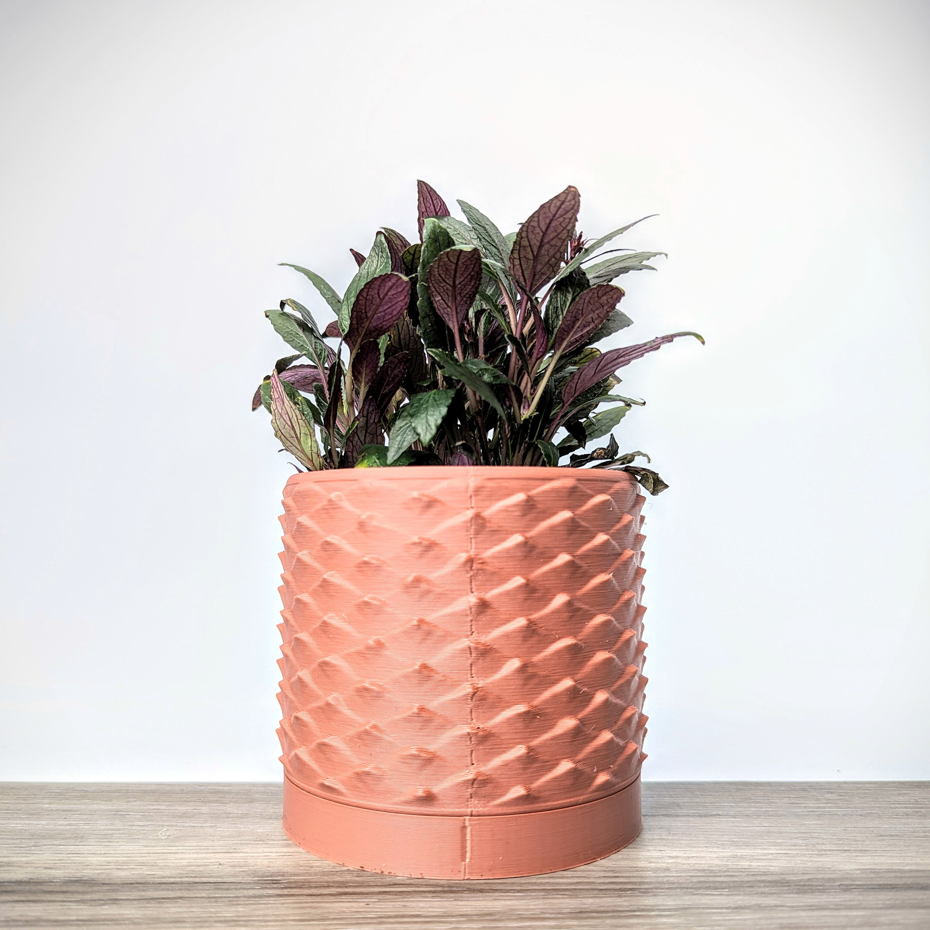 Terracotta Pot Dragon Scale Planter With Drainage Tray - Etsy