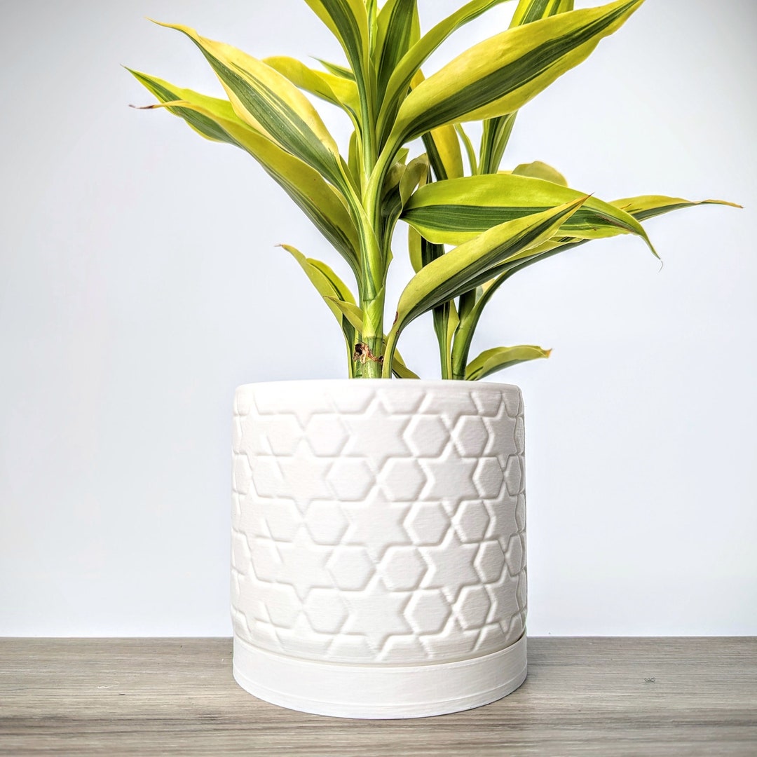 Matte White Pot, Star Patterned Planter With Drainage Tray, Made From ...
