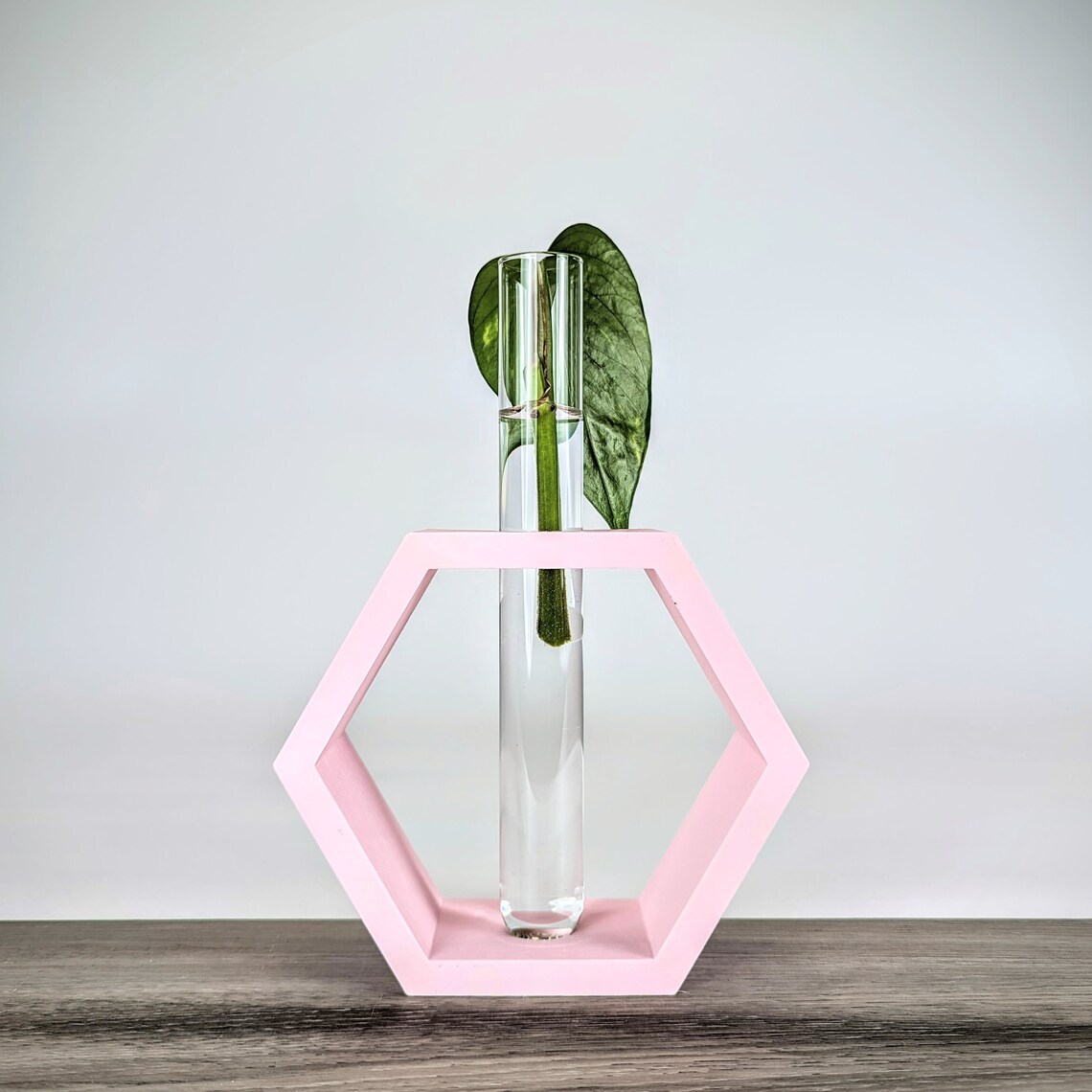 Hexagon Propagation Station in Light Pastel Pink, Honeycomb Test Tube ...