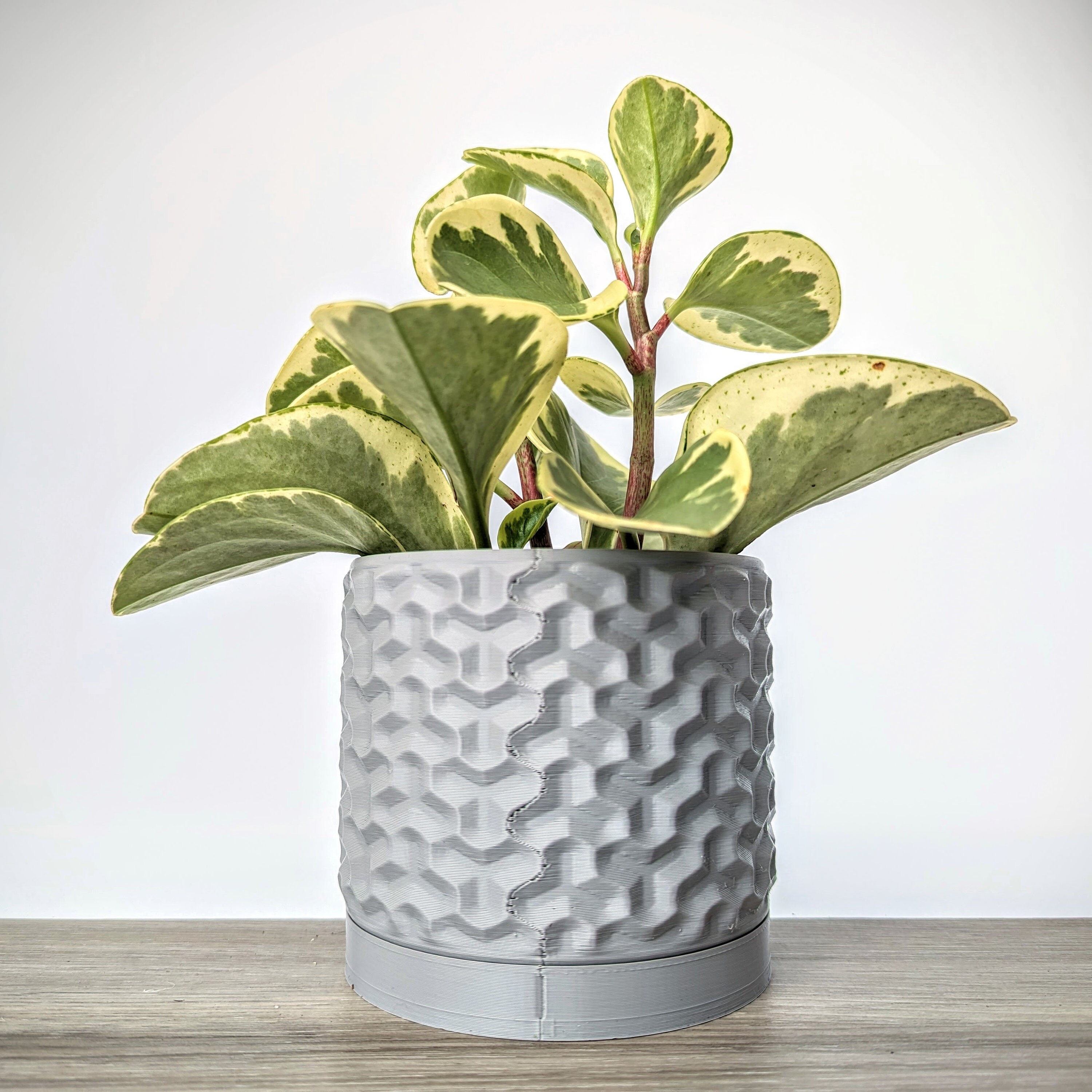 Light Gray Planter, Geometric Plant Pot With Drain Tray, Apartment Home ...
