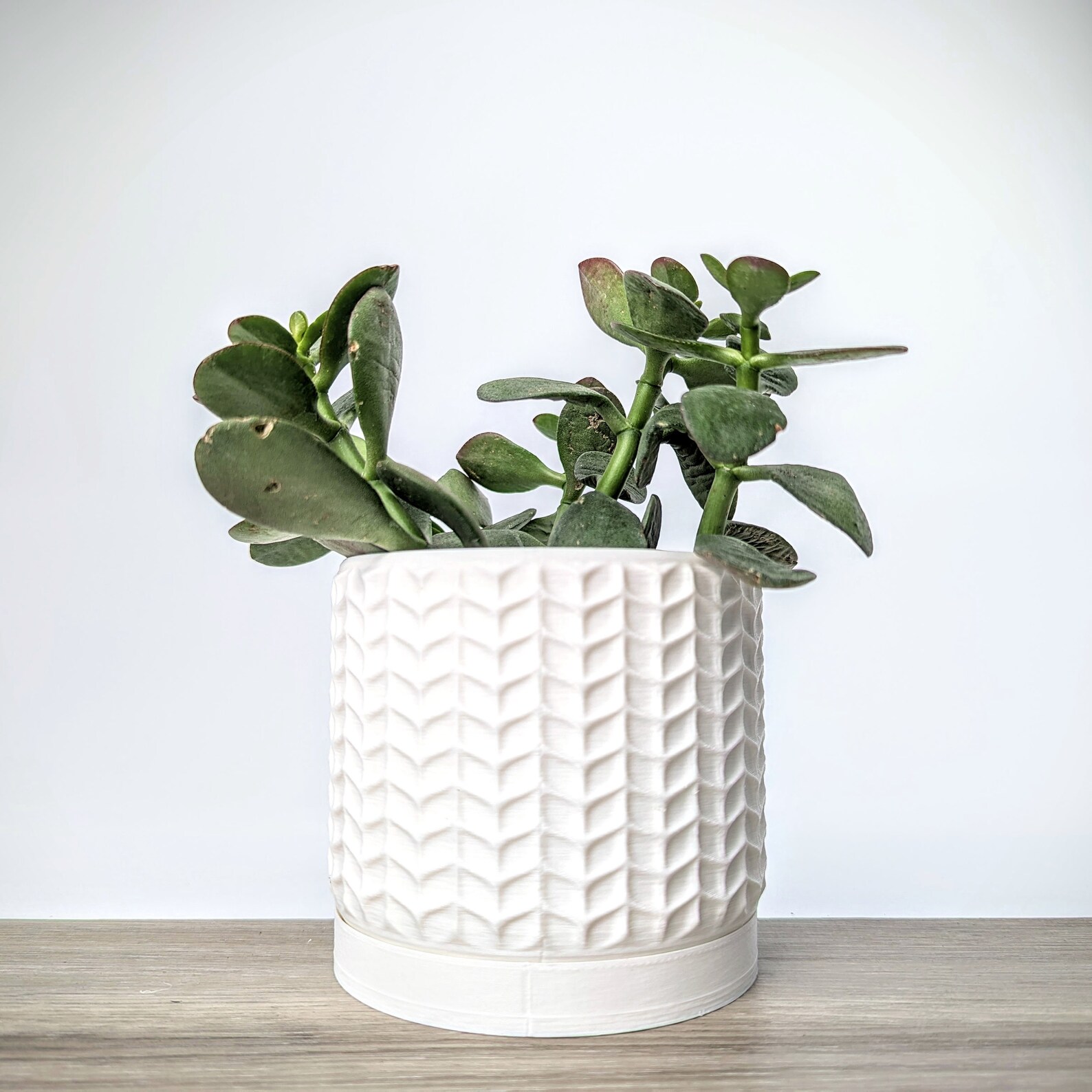 Matte White Planter, Modern Plant Pot With Drain Tray, Mix and Match ...