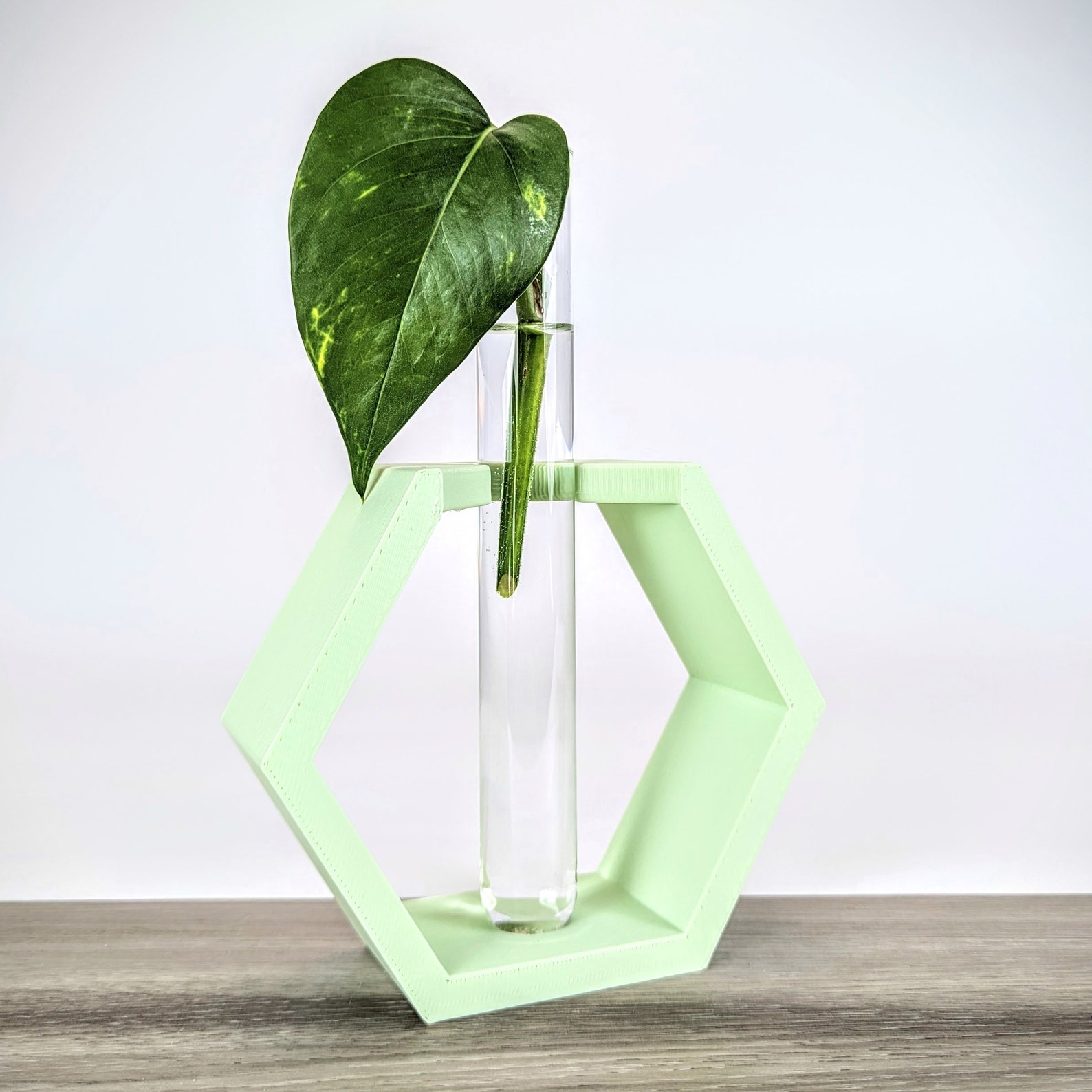 Hexagon Propagation Station in Light Pastel Green, Honeycomb Test Tube ...